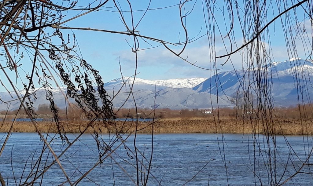 Missione a Guri I Zi in Albania - Fondazione Marcegaglia